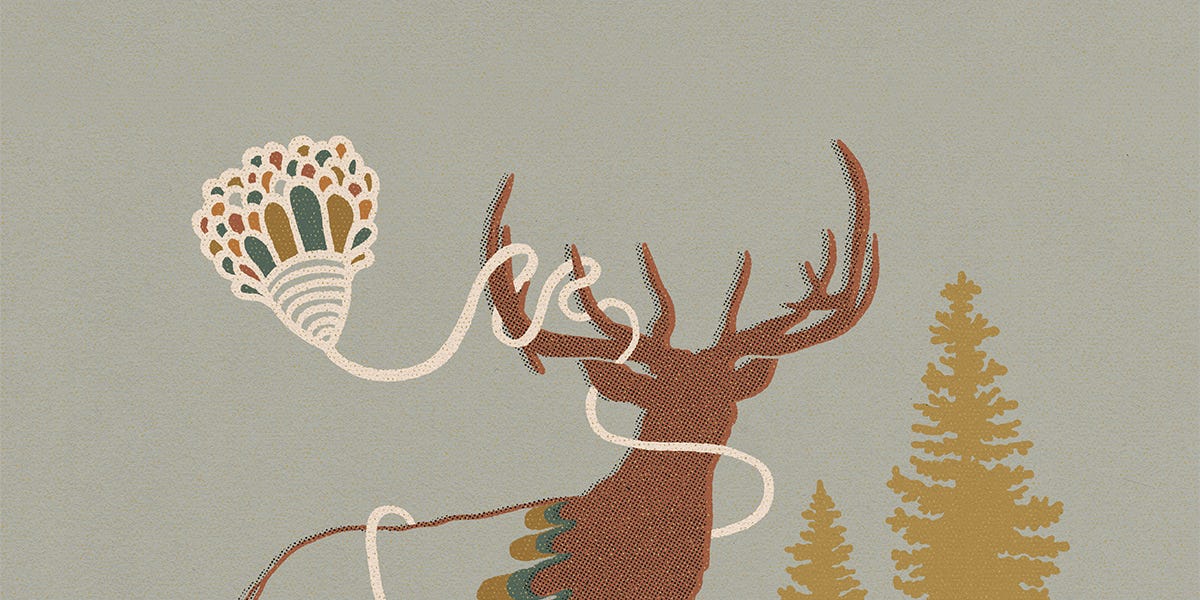 Oh my Deer - by Yossi Shamrik - This Is Not a Loop