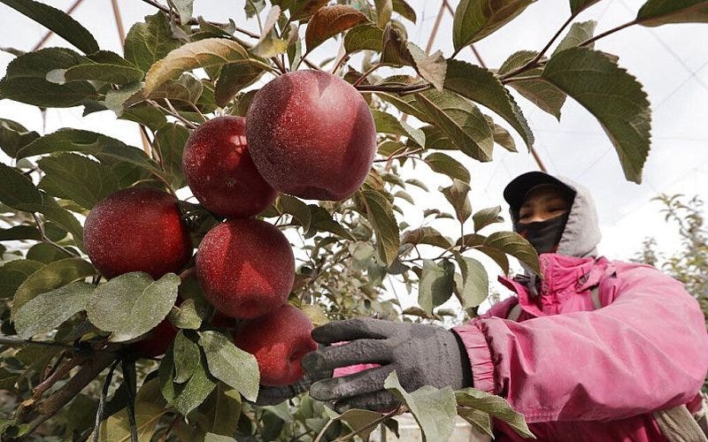 Australia’s New ASEAN Farm Worker Visa Hits Snag from Malaysia