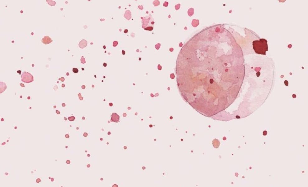 The Moment I Embrace My Peace Within and Surrender The Outcome Is the ...