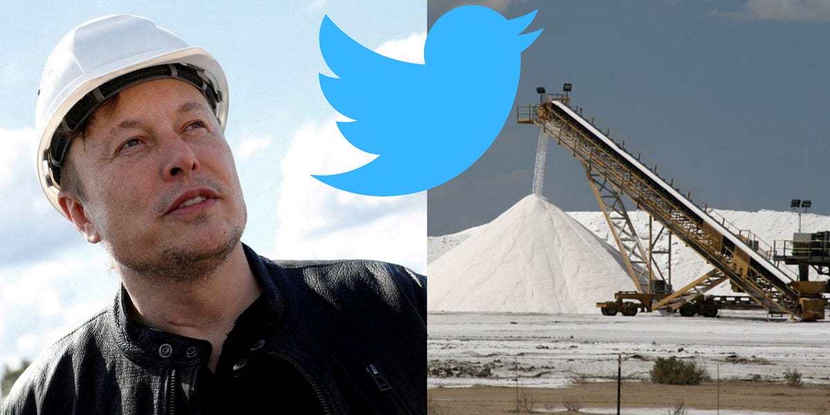 Salt Mining After Elon Buys Twitter - by Auron MacIntyre