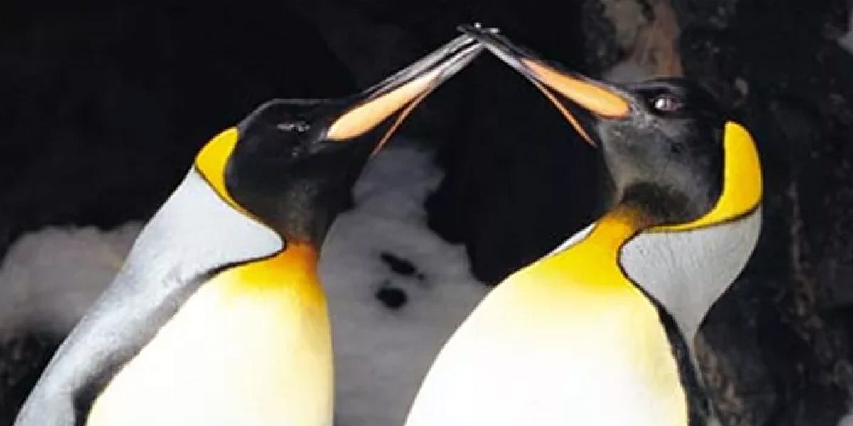 Penguins, a giant Orca, and a dully revolving drum