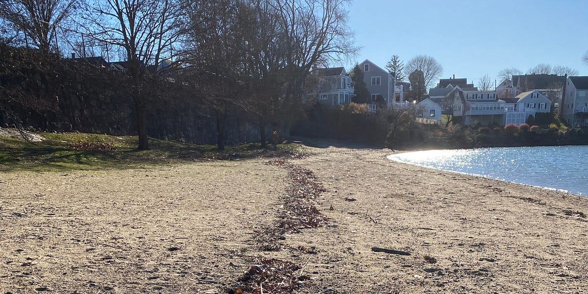 Daily Buzz | Town Website Boasts New Accessibility Features