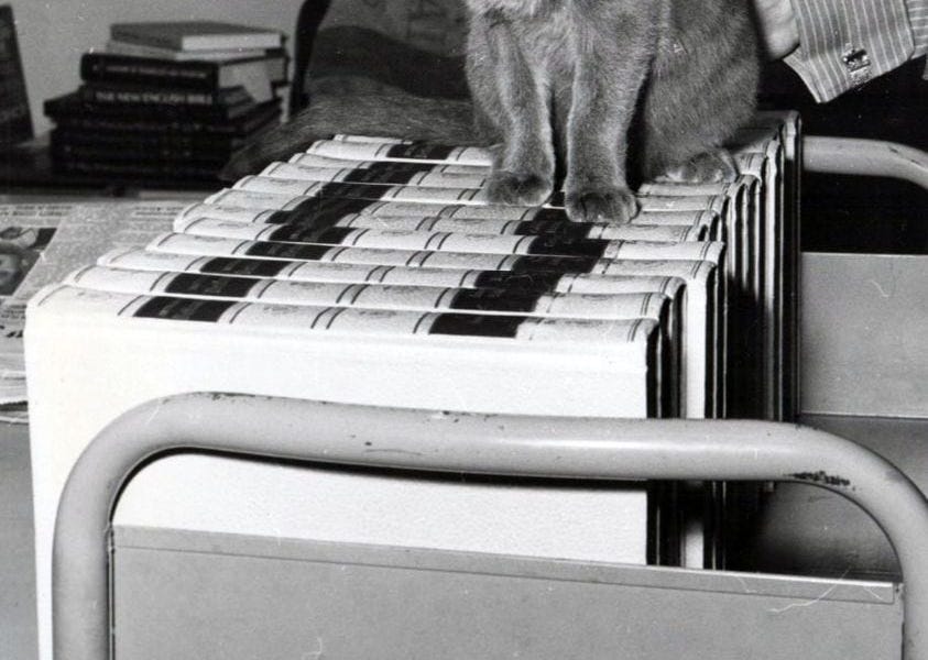 Dewey, the Hudson, Ohio, Library Cat - by George Eberhart