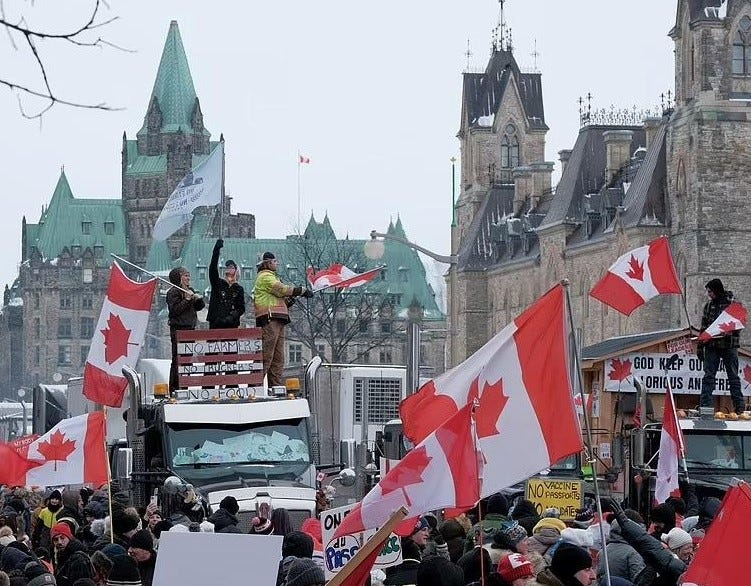 Reality Honks Back - by N.S. Lyons - The Upheaval