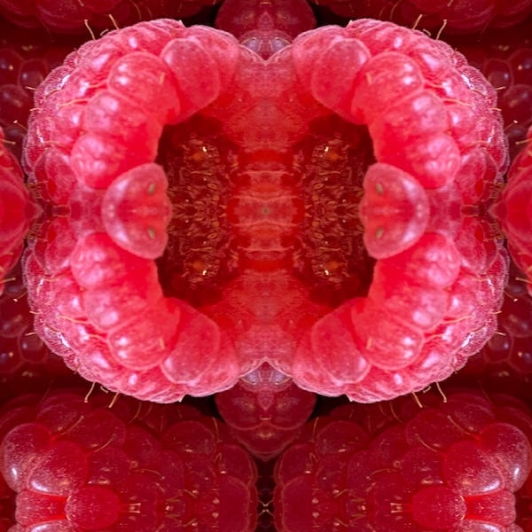 The Weird Times - by David Wilk - The Weird Times