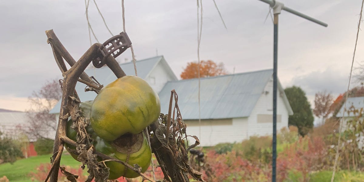 Time to rest - by Adele Stafford - Prolonged