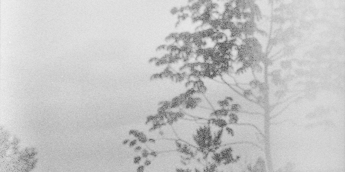 Newsletter Issue #000 - by Marina Alves-Caldas - Amber Room