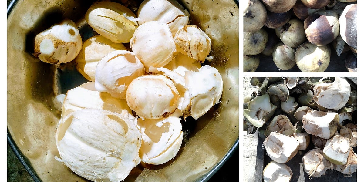 The ice-apple and Naturals ice-apple ice cream sundae