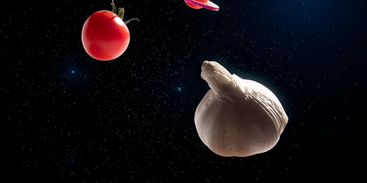 Books in Our Salad Orbit - by emily nunn