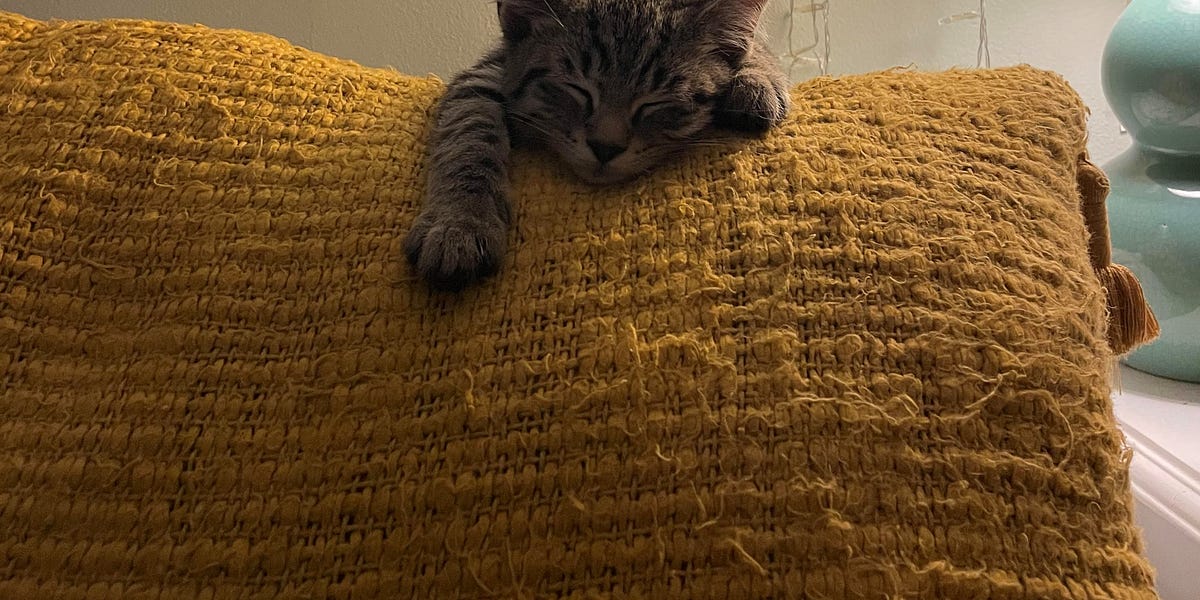 my bed - by Colleen Grablick - if brain worms could talk