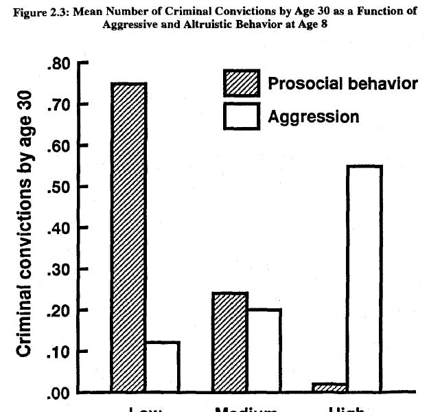 Race, Evolution, and Behavior, by Jean Philippe Rushton (1997)