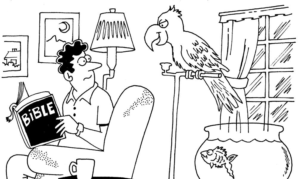 Lectionary Lab PREMIUM Edition for the 22nd Sunday after Pentecost, Year B