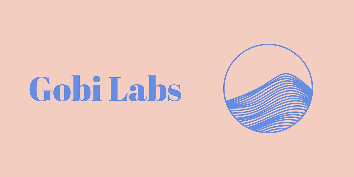Introducing Gobi Labs - by Stephen Yuan - Gobi Labs