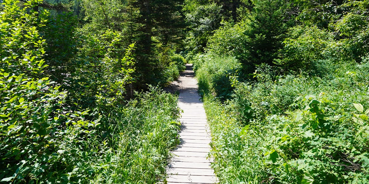 Love - by Cody Golbad - Keys Open Doors