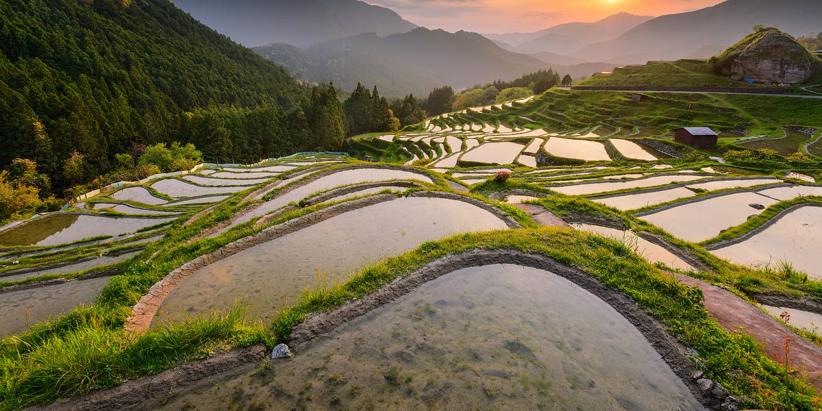 Japan Reopens! - Chris Rowthorn Tours Newsletter