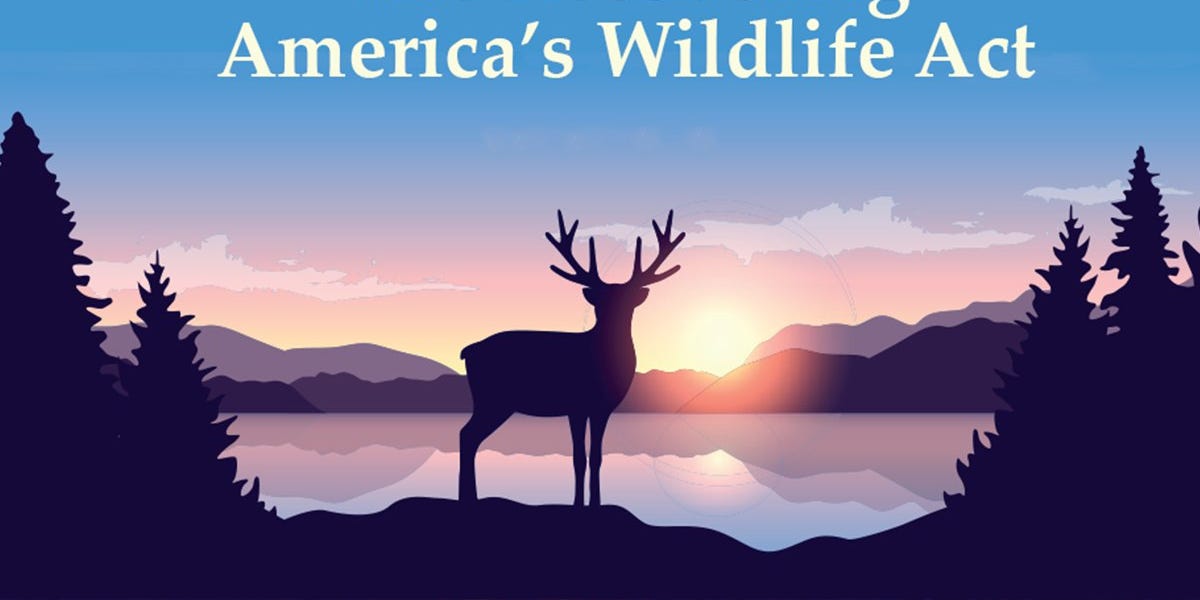 Important wildlife conservation bill is passed by U.S. House