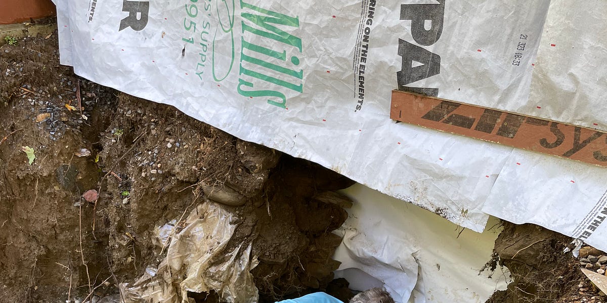 We've Hit Rock Bottom - by Brian Cali - Green Dream Stories