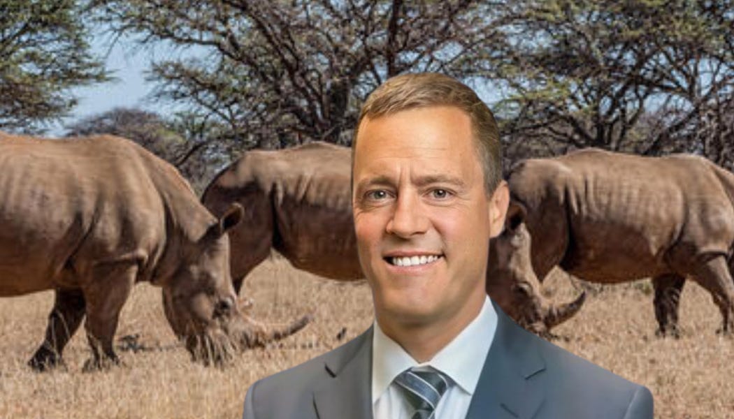 A RINO is Born - by Jessica McLane