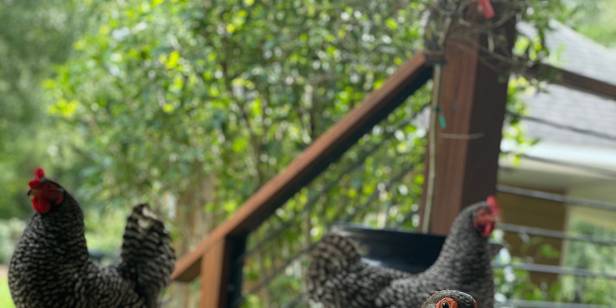 When the Well Runs Dry - by Karen Milioto - Unearthed