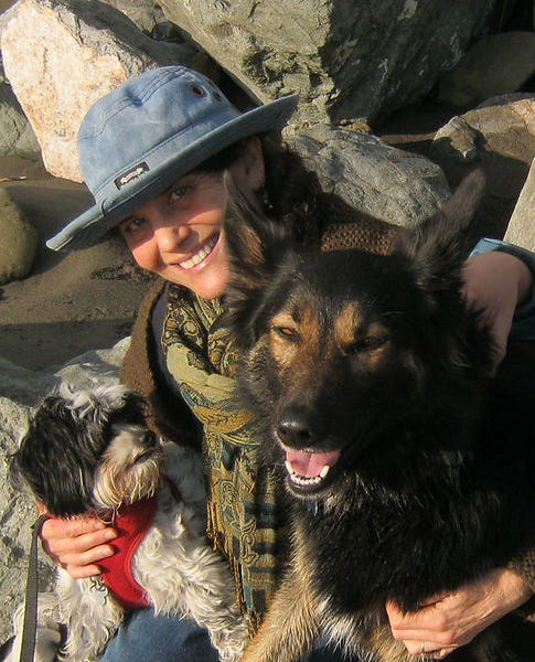 (How) Can we read? An interview with Elisa Kleven