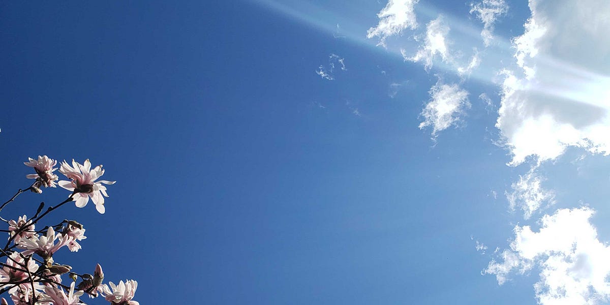 Remembrance - Peter Daou