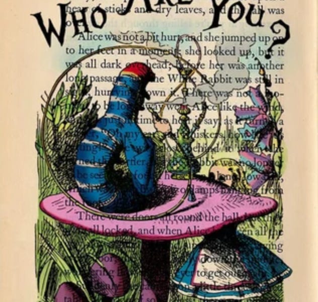 Who Are You? - The Starfire Codes by Demi Pietchell