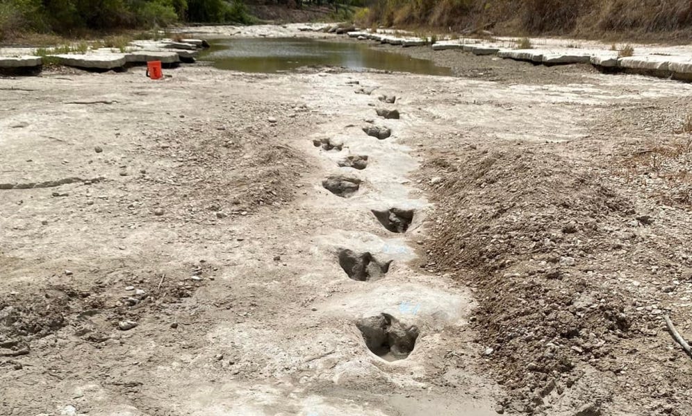 Dinosaur Tracks - by Sandy Russell Jones