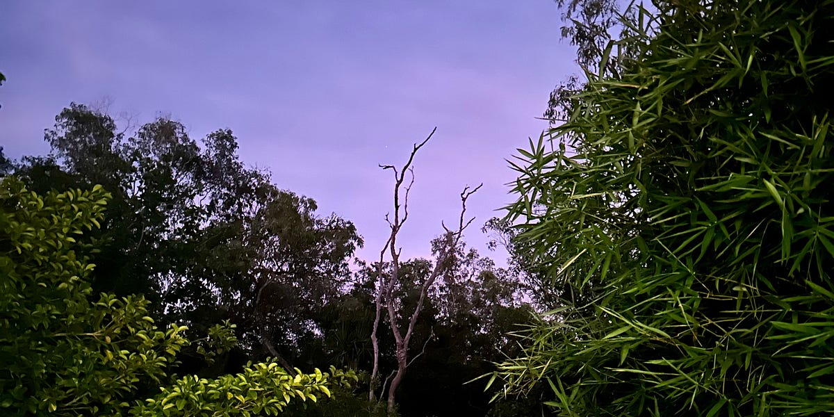 Hi, Hello and G'Day - by Kyla Woods - The Smoko Break