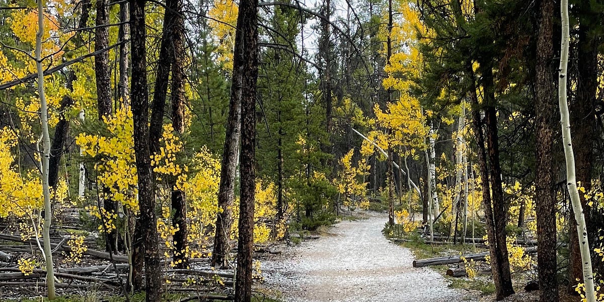 Thirty Days - by Taryn Speakman - Joy