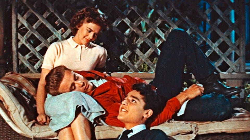 rebel without a cause (1955) and defining masculinity
