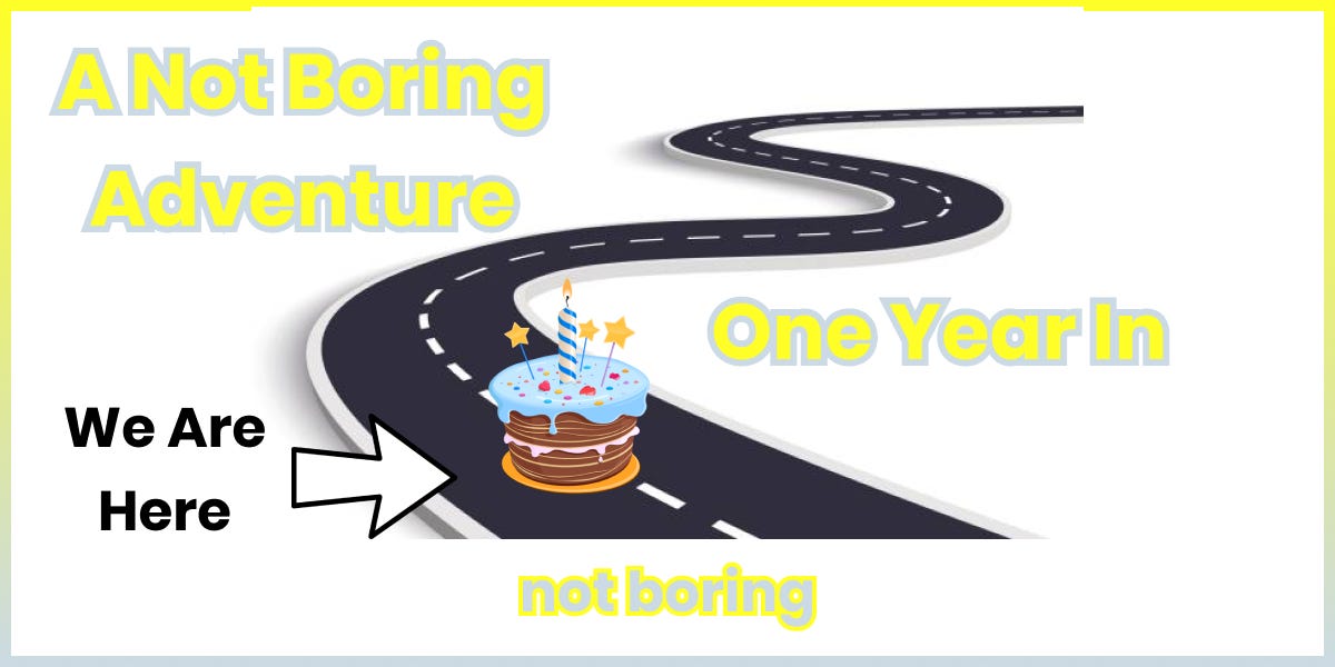 A Not Boring Adventure, One Year In