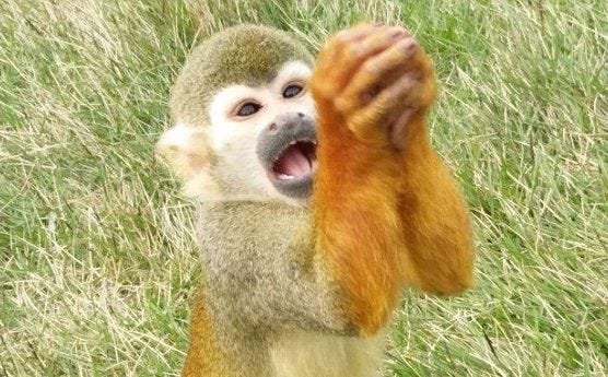 Brother, Can You Raise a Question? - by Ben Boychuk