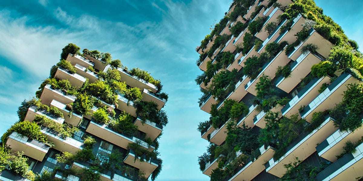 Meet this year's cleantech award winners | The Morning Report