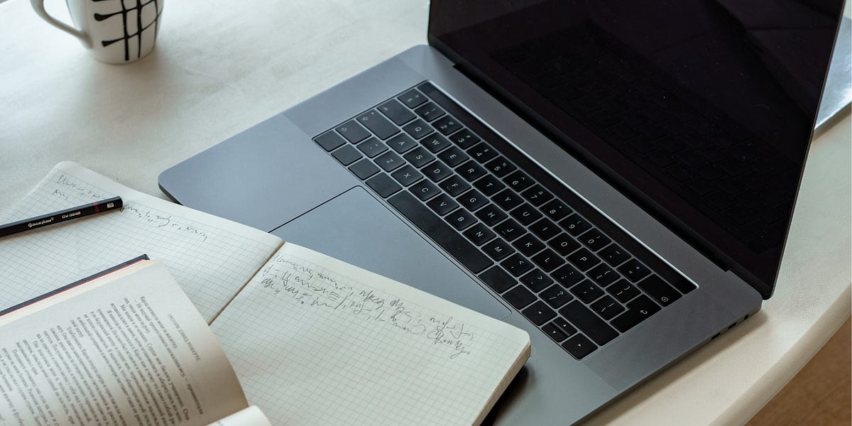 The Syllabus Survival Guide - by Alexandra Mihai