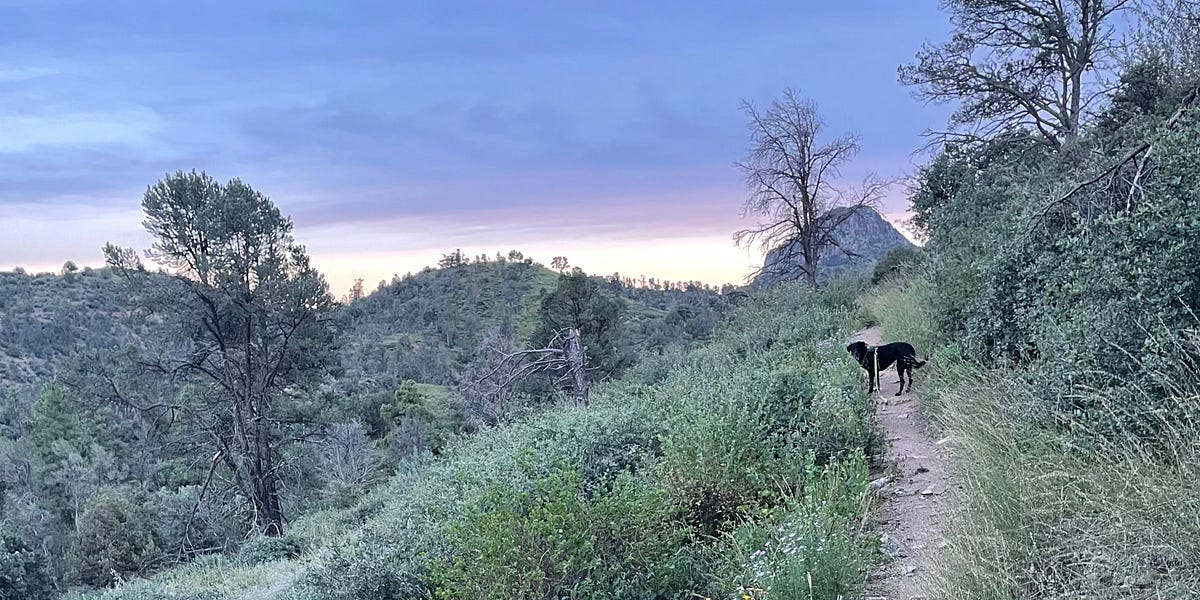 Quick Updates - by Kalie Virden - Kalie’s Weekly Notes