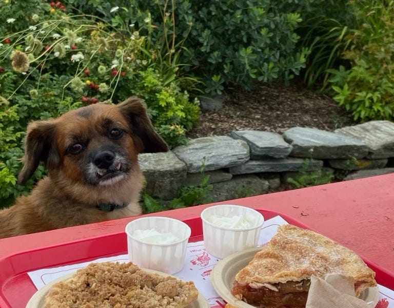 Ask Digestivo: Regular Degular Shmegular Recipes