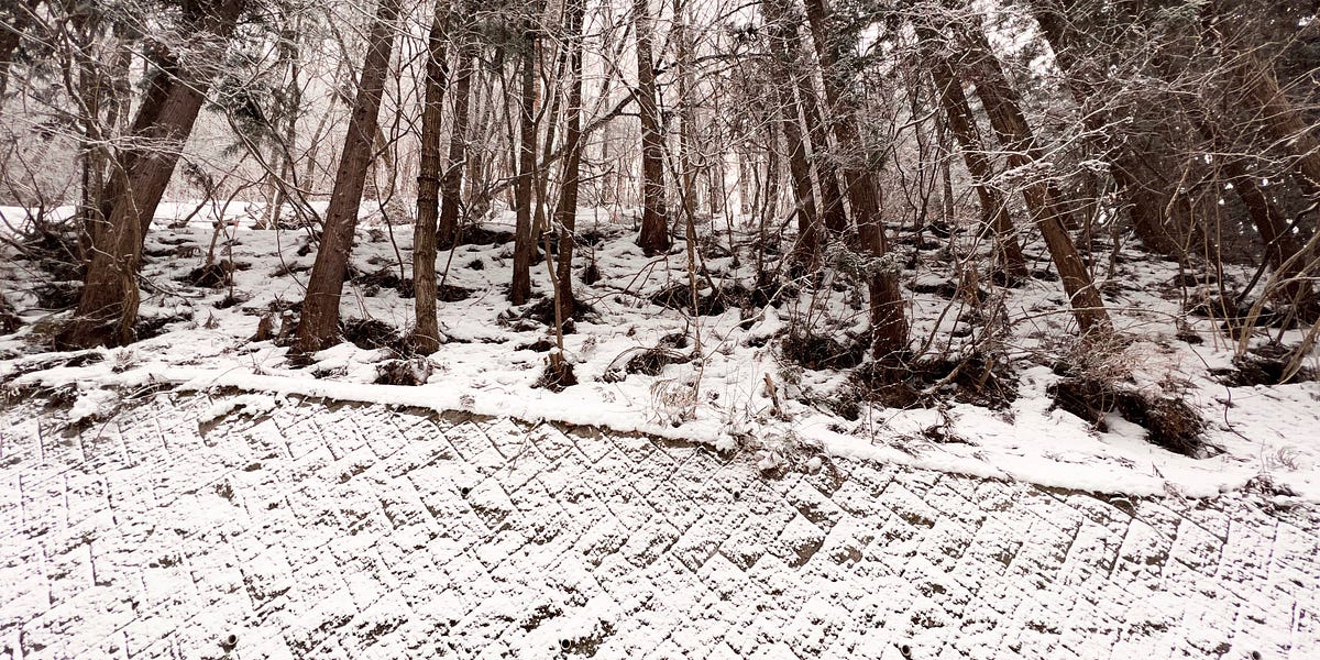 ベストオブ2022 - nnca.ntn