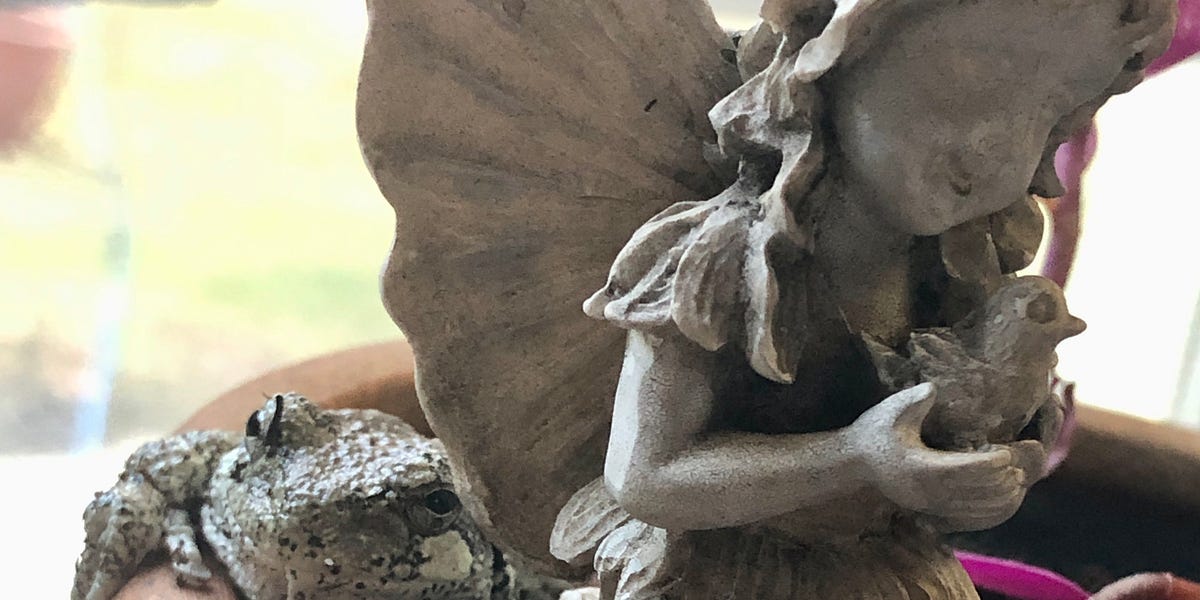 Freida’s dinner guests - by Gail Sawyer