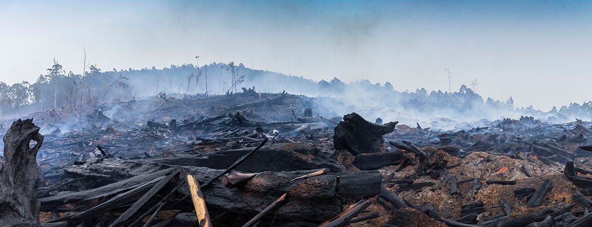 The NHRA Research Priorities - by Matt Duckham