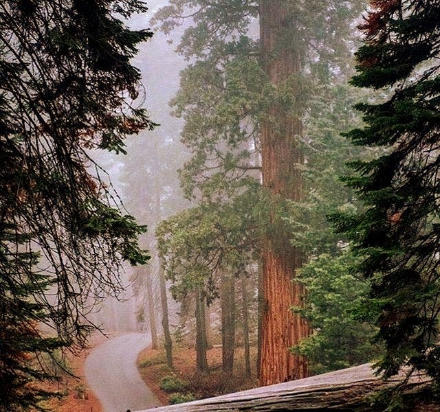 "nCham" - by Tagang Linus Barry - Tagang’s Newsletter