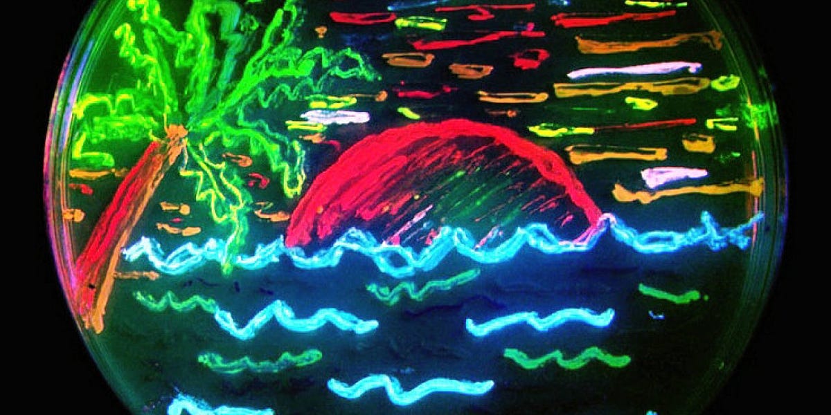 Let's Go Streaking - by Shaastra TechShots