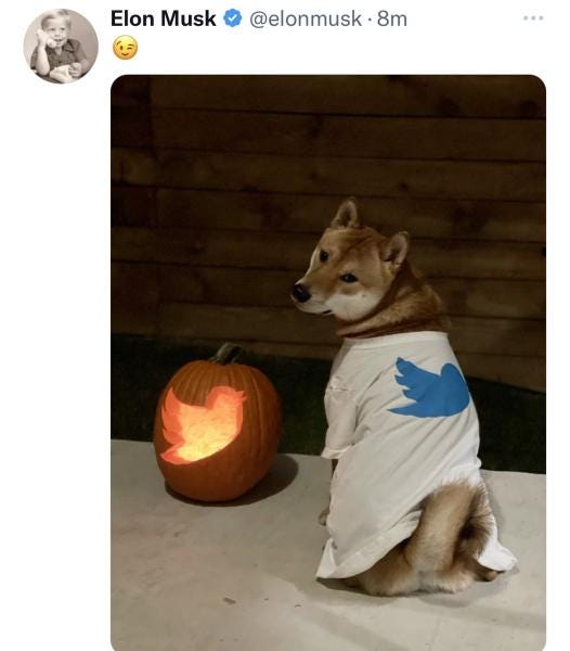 DOGE war gestern! - by Henner