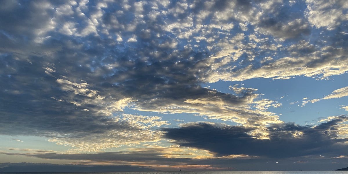 Julia Cameron Changed my Life - by Susannah Rigg