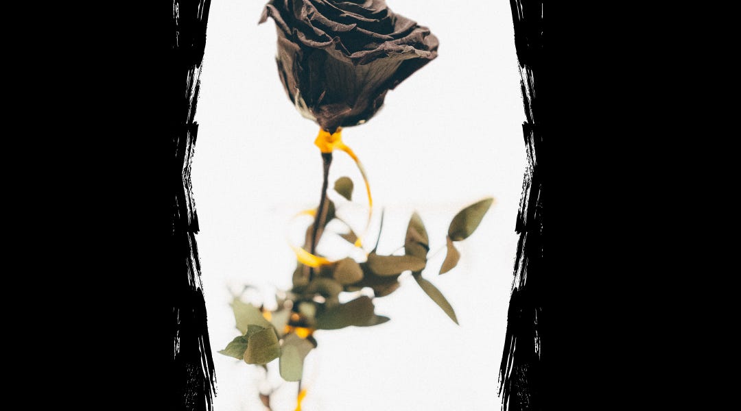 'Sorry' doesn't cut it. - by Varuni Fernando - Lifehack