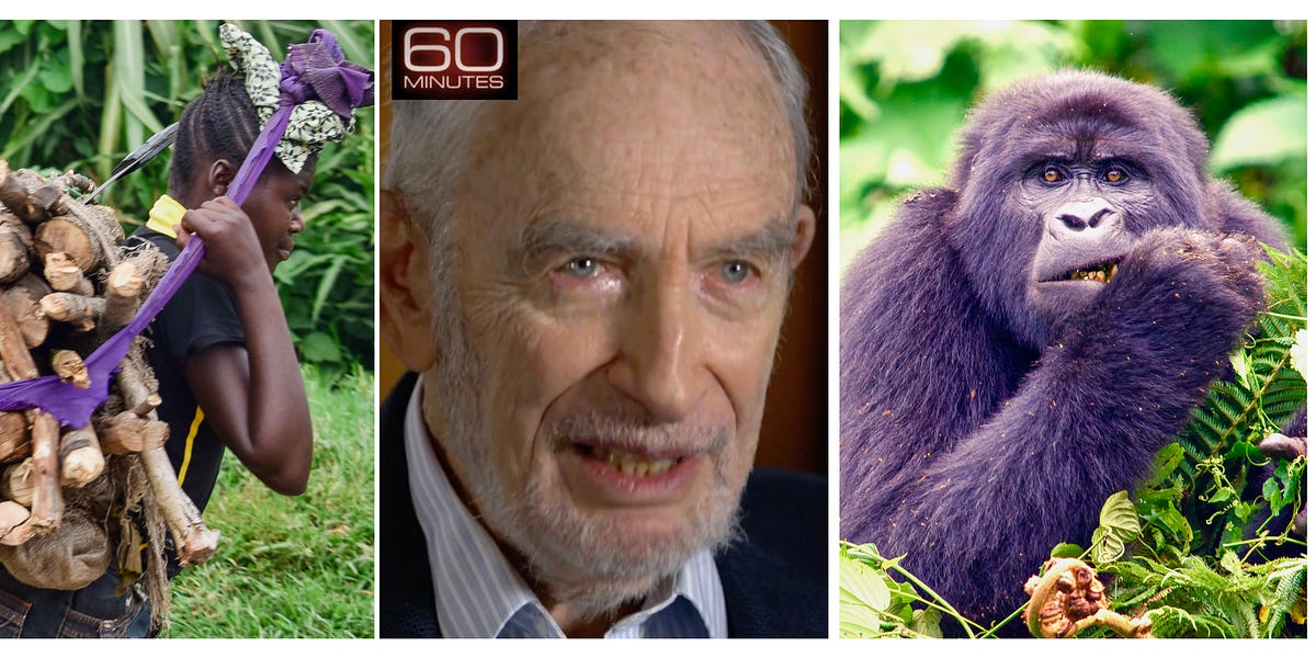 No, Humans Are NOT Causing A "Sixth Mass Extinction"