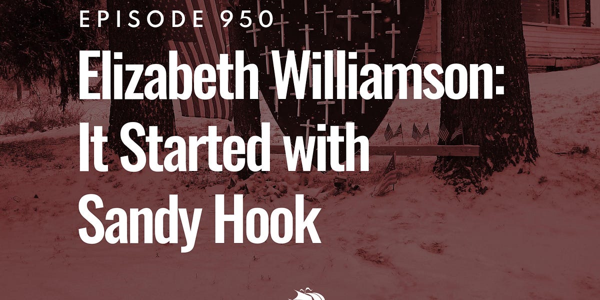 Elizabeth Williamson: It Started with Sandy Hook