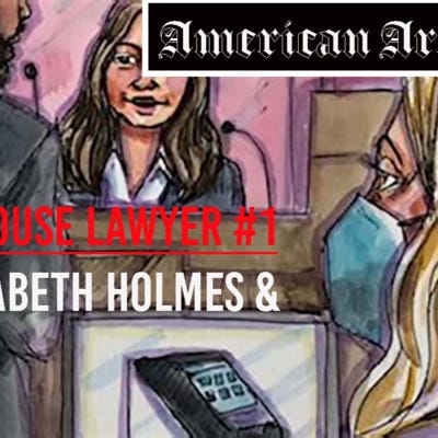 Jailhouse Lawyer #1 | Elizabeth Holmes, Theranos, and disparities ...