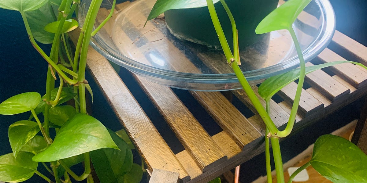 A poem for the insecure teacher - by Sharifa