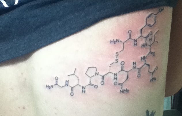 The Love Bug - by Stephen Skolnick - Eat Shit and Prosper