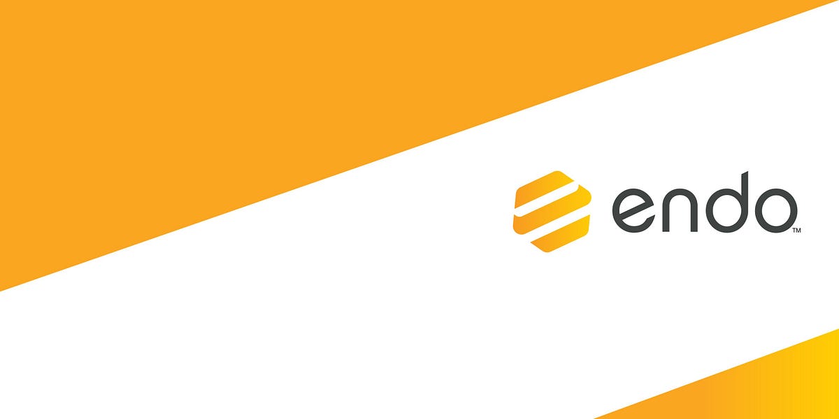 Endo International Logo